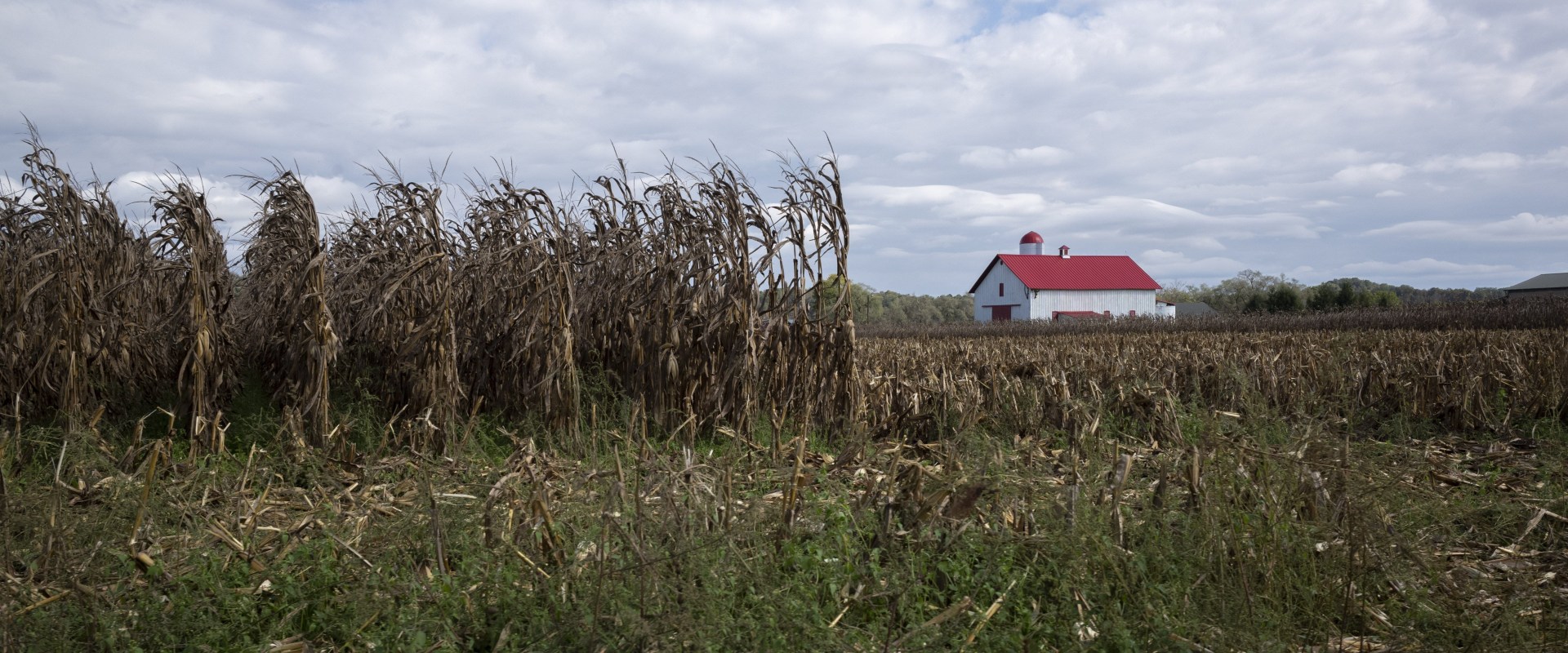 Exploring the Different Types of Rural Communities in Franklin County, Ohio